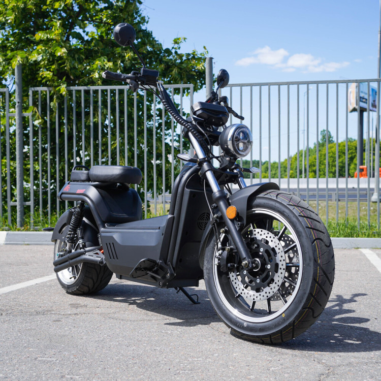 EcoMoto Premium Lion E3900W Black Edition купить в Москве - Цена, Характеристики | Магазин EcoMoto